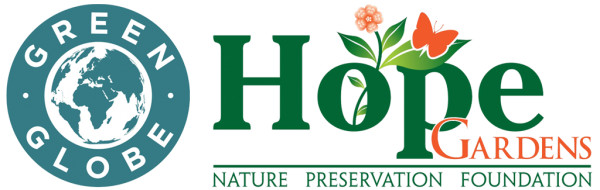 Experiences at Hope Gardens - Hope Royal Botanical Gardens